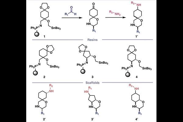 Benchtop machine automates synthesis of drug screening hits | Research ...